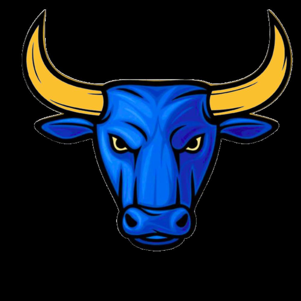 BULLS COLLECTION – Inspiration Customs & More